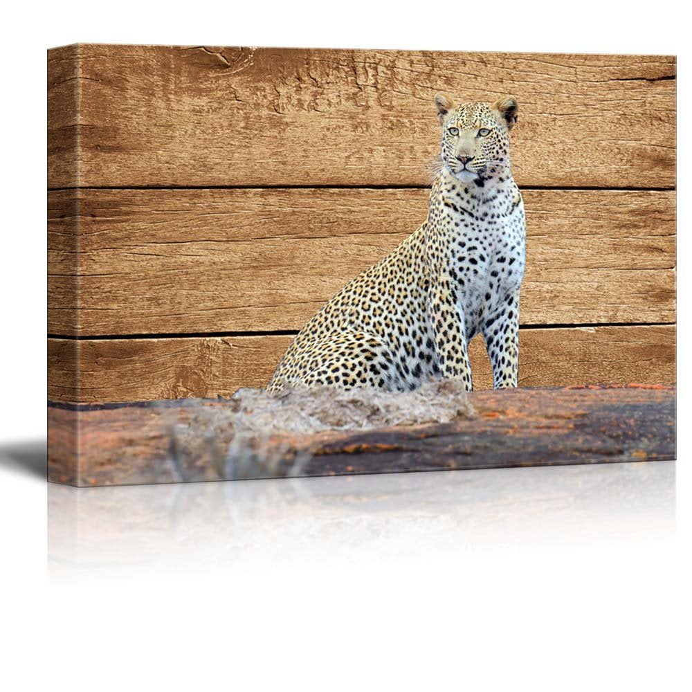 wall26 - Rustic Canvas Wall Art - Sitting Leopard - Giclee Print Modern ...