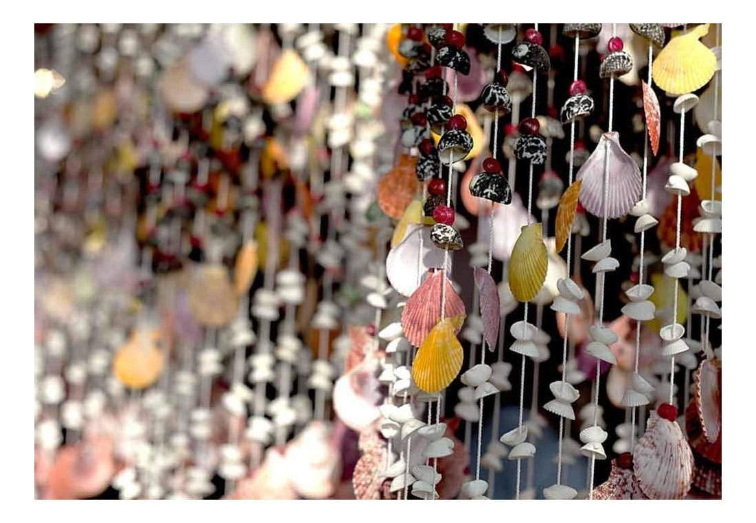 wall26 - Sea Shells on Strings - Wall Mural, Removable Sticker, Home ...