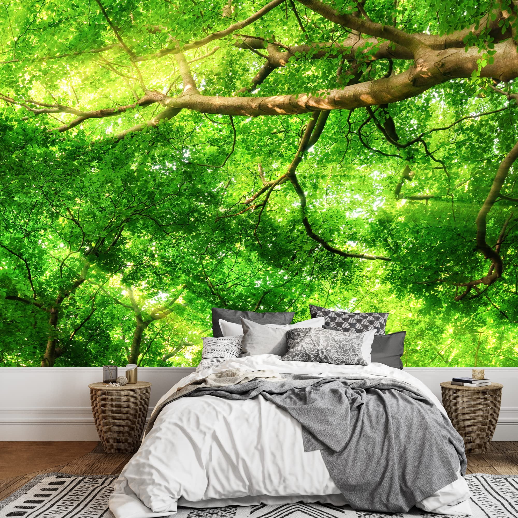 wall26 - Sunrays Shining Through Green Leaves of high treetops in a ...