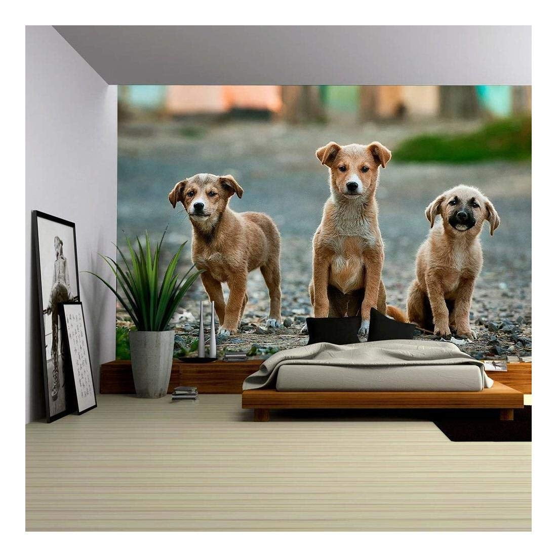 wall26 - Three Cute Little Dog - Removable Wall Mural | Self-Adhesive ...