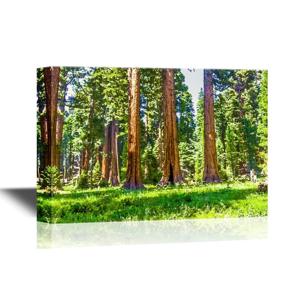 wall26 - Watercolor Style Canvas Wall Art - The Famous Big Sequoia ...