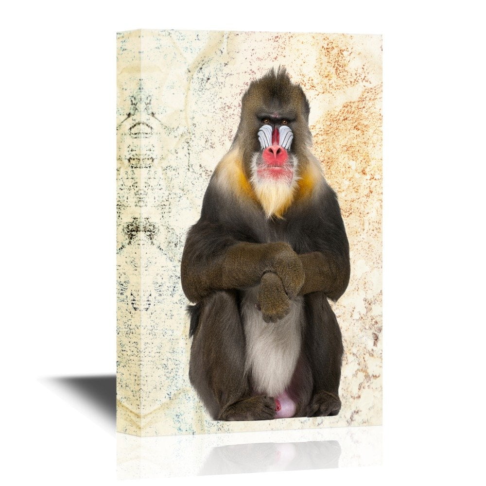 wall26 - Wild Animal Canvas Wall Art - A Sitting Mandrill - Gallery ...