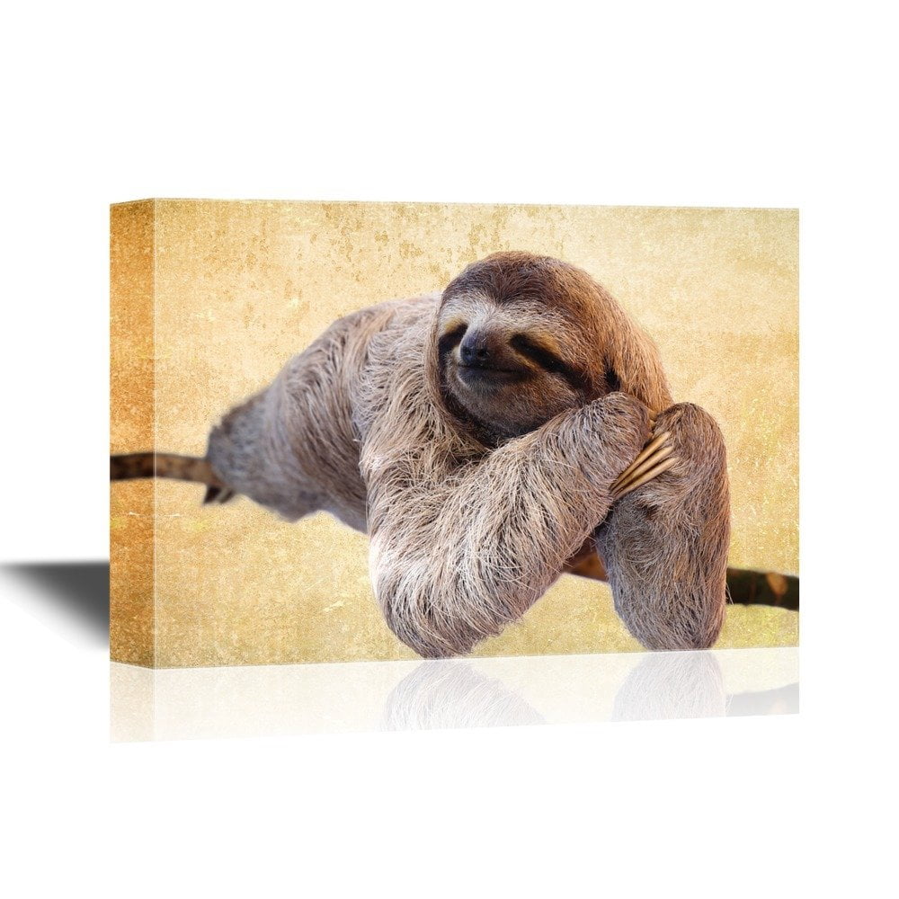 wall26 - Wild Animal Canvas Wall Art - A Sloth on a Tree Branch ...
