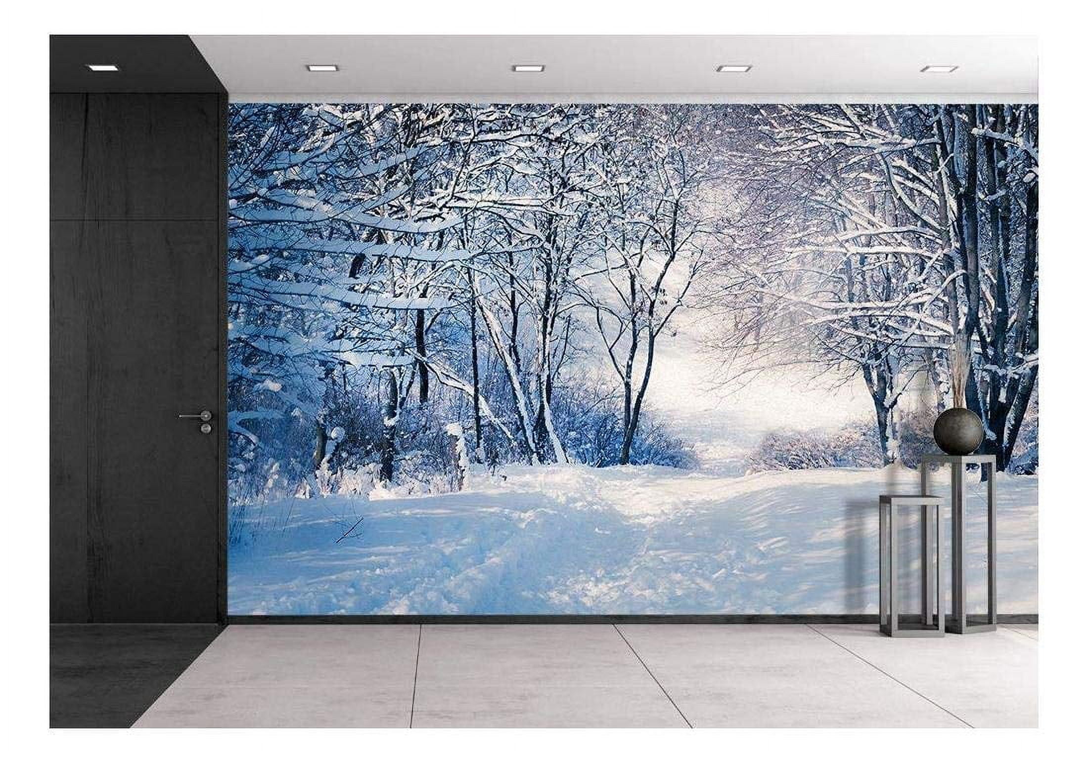 wall26 - Winter Landscape in Snow Forest. Alley in Snowy Forest ...
