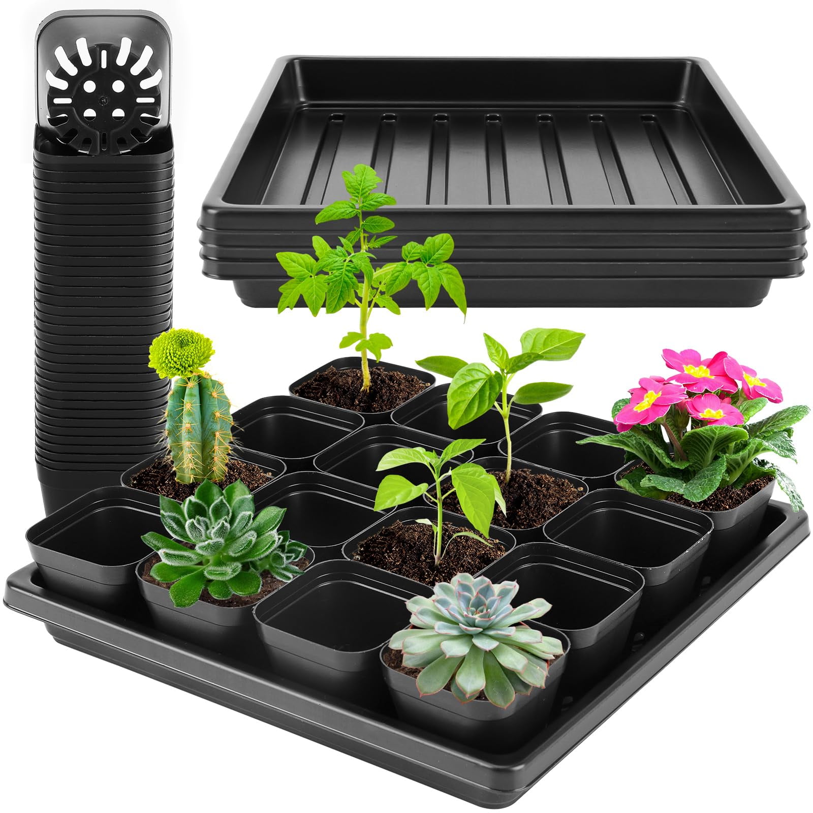 warmfarm Thick Seedling Trays 3 Pics AIS1 with 50 Pics Easy-to-Remove ...