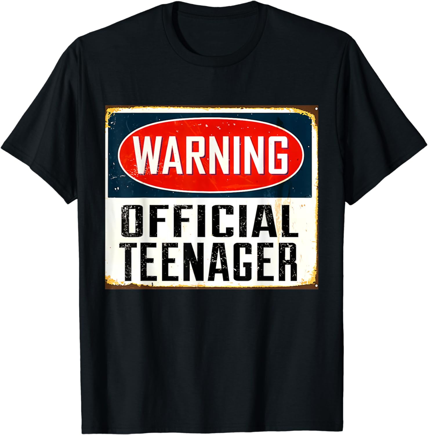 warning official teenager Official Teenager 13th Birthday Gift 13 Year ...