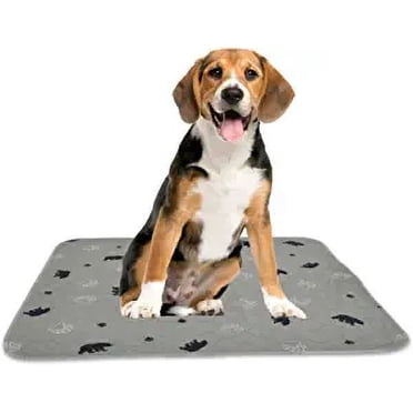 Glad For Pets Washable Reusable Dog Training Pads, Small 18”x24” 2 Pk ...