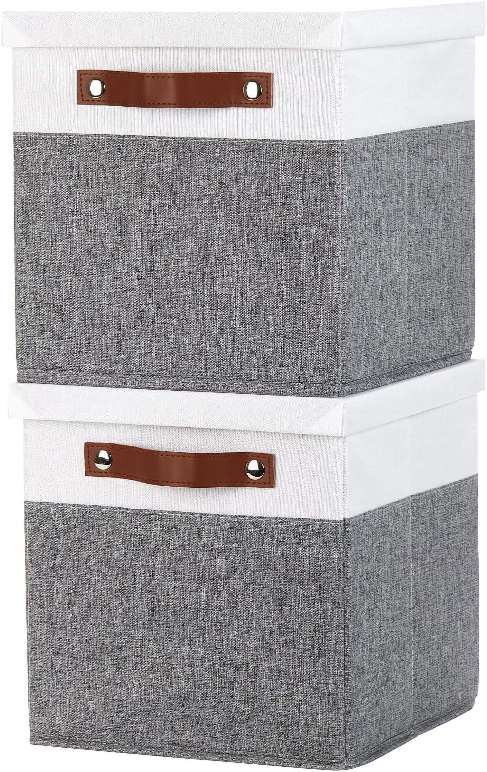 wecgfvo Foldable Fabric Storage Bins with Lids 2-Pack Storage Bin for ...