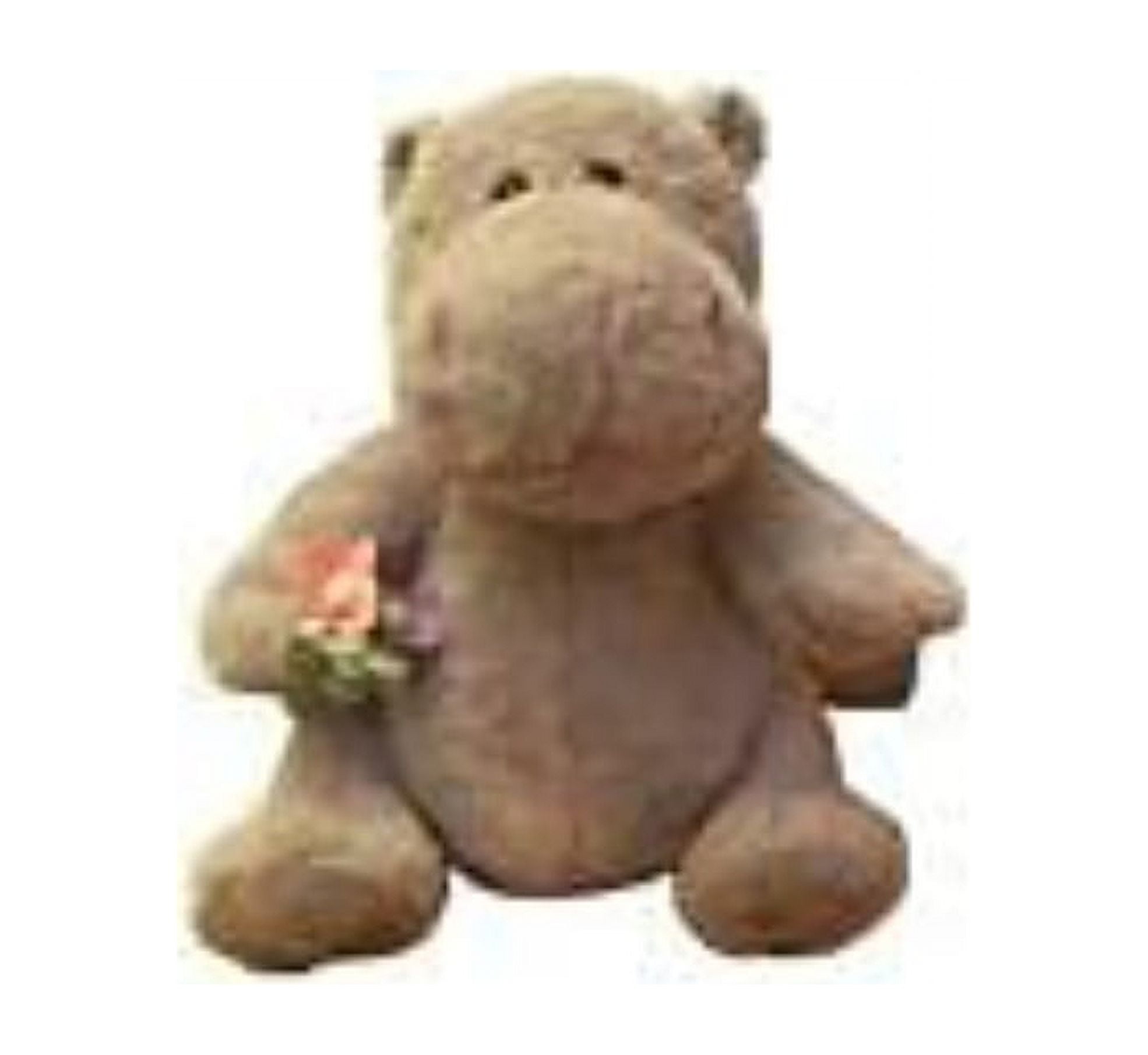 wed 14" Hippo Curious George kohls Easter Valentines Flower Bouquet ...