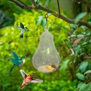 Songbird Essentials Ant Moat for Hummingbird Feeders Nectar Protector ...