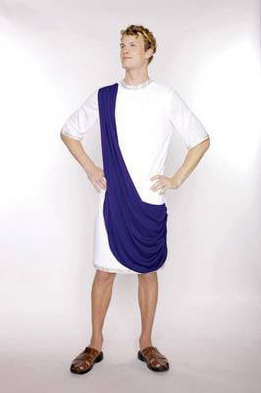 white purple ROMAN GOD toga caesar medieval mens adult costume ...
