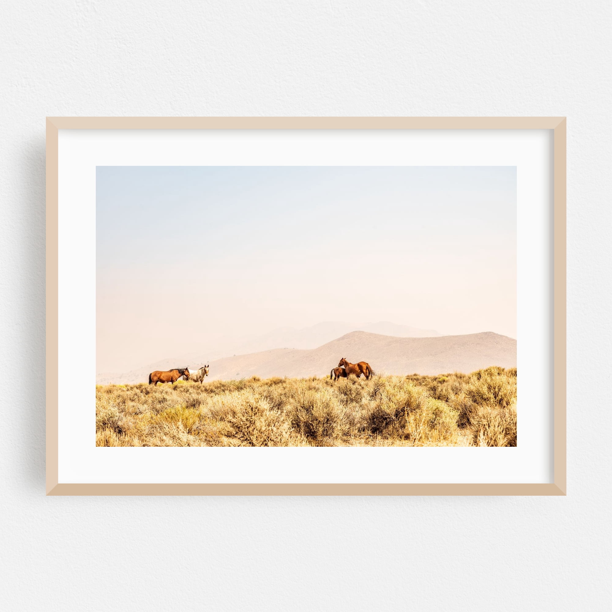 wild horses in Nevada desert - Carson City Nevada Photography Desert ...