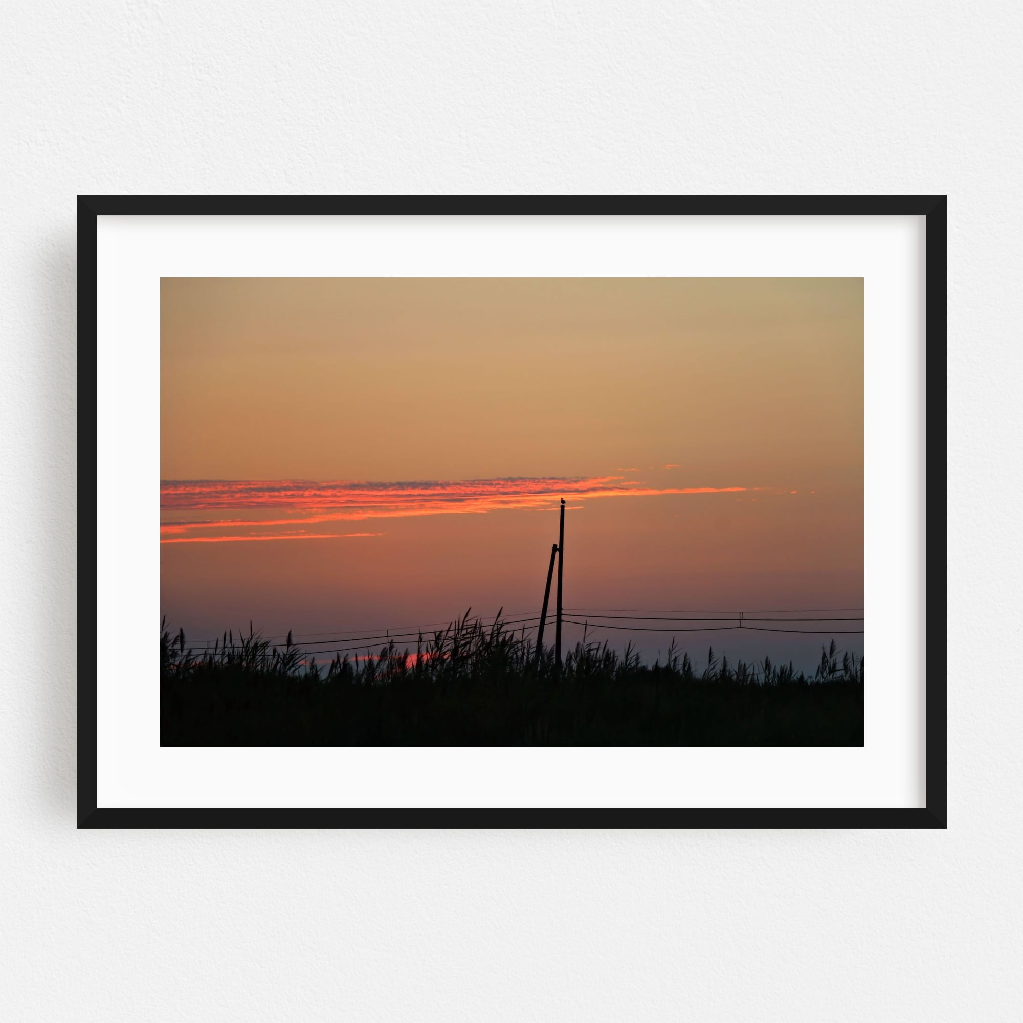 With my wings comes freedom - New Jersey Photography Sunset Minimalist ...