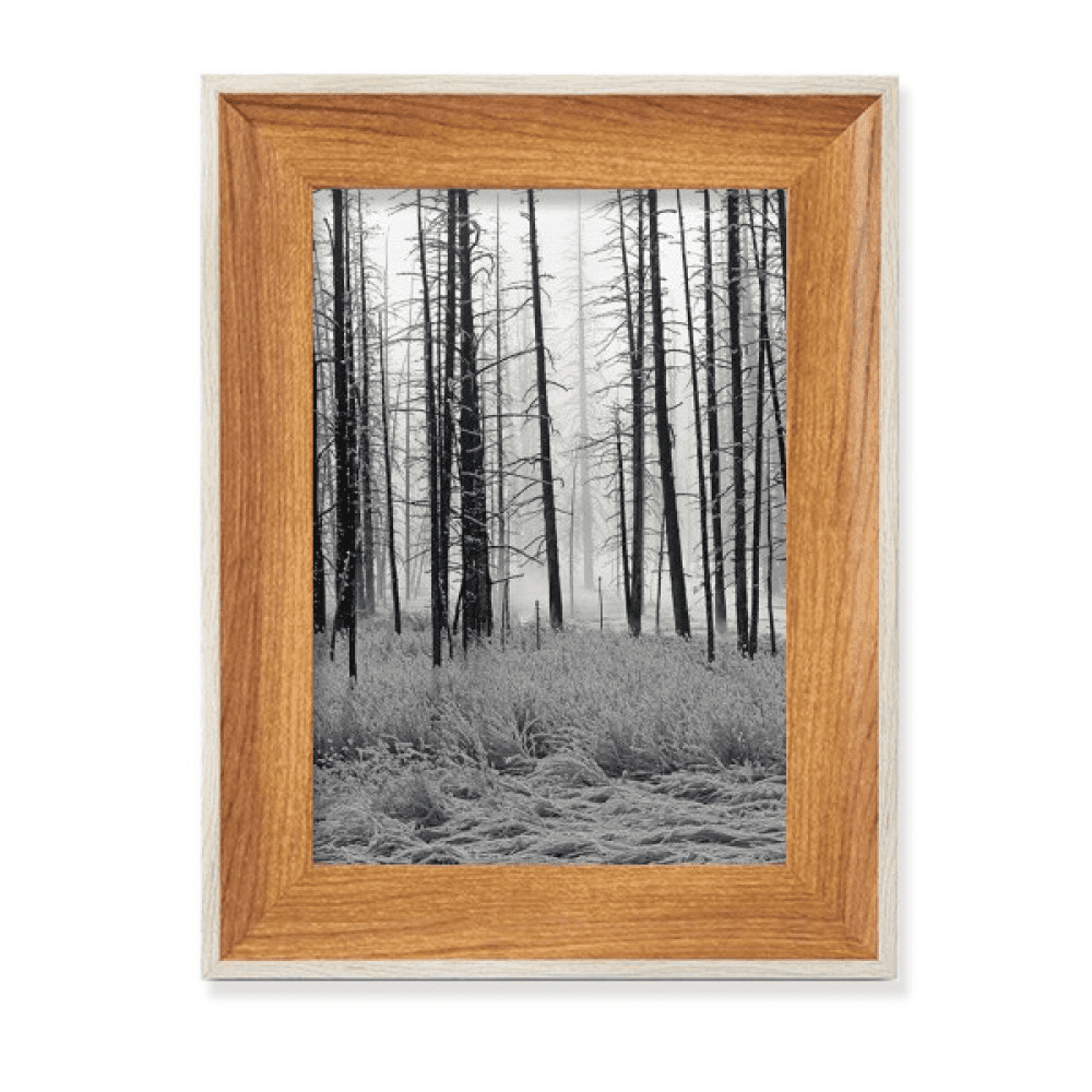 winter snow trees frost desktop wooden photo frame display picture art ...