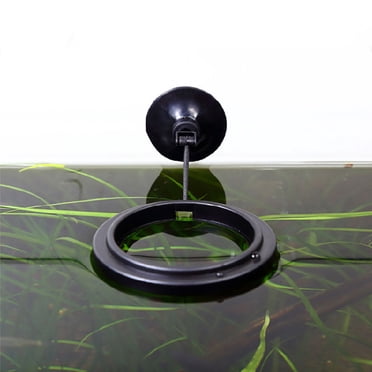 Kiplyki Feeding Ring Aquarium Fish Tank Station Floating Food Tary ...