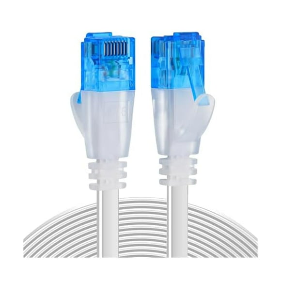 100 FT Ethernet Cables