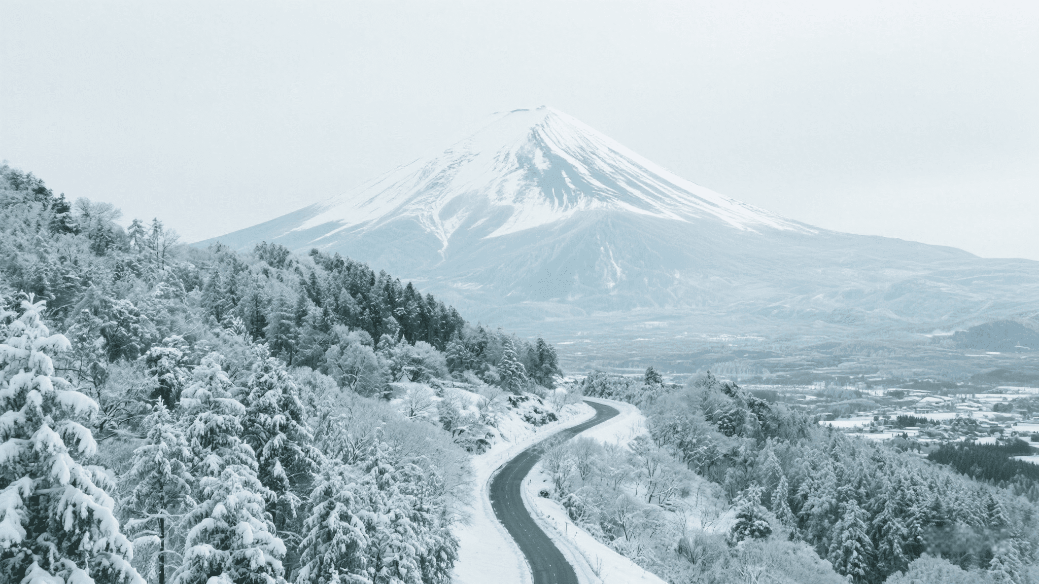 wooden puzzle Snow - Clad Splendor Mount Fuji in a Winter Wonderland ...