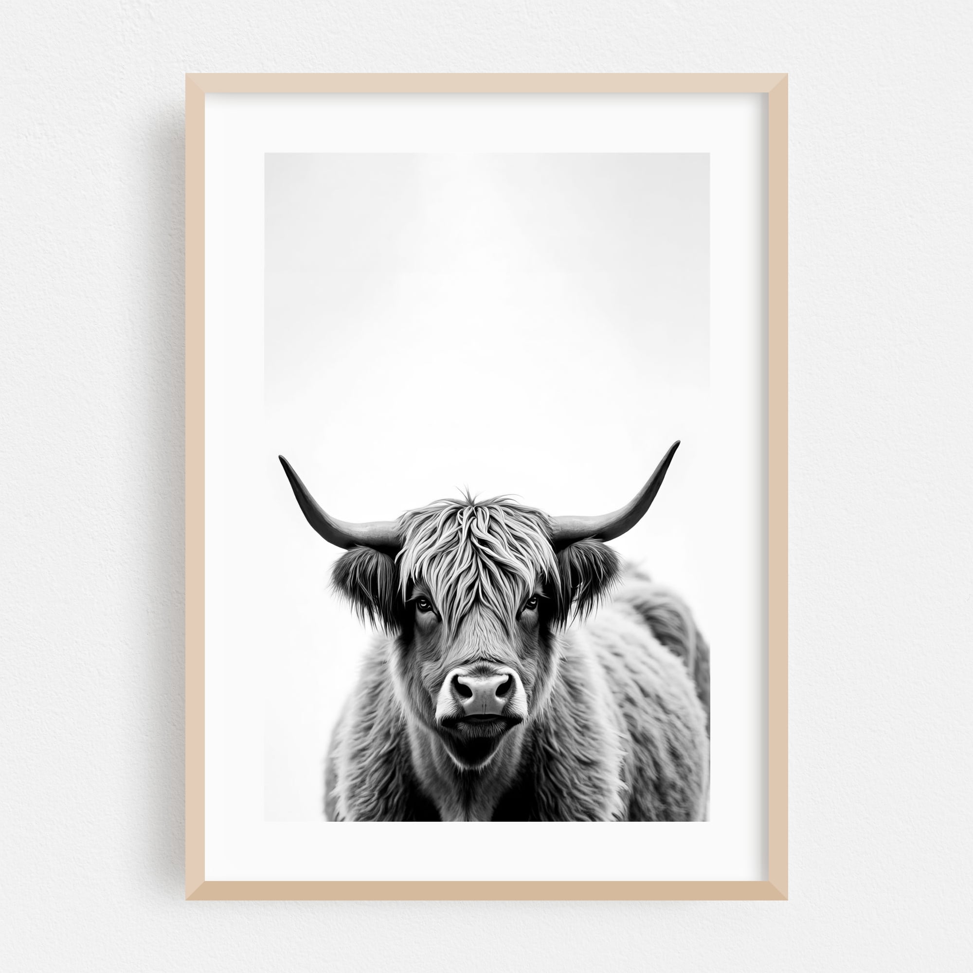 woolly cow - Photography Highland Cow Black and White Animal Portrait ...