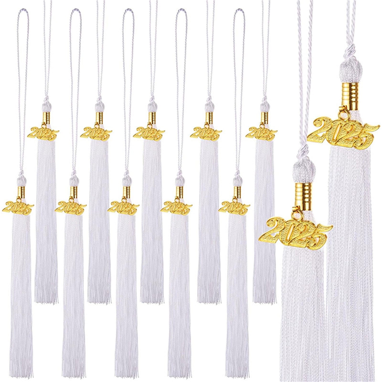 wowotier 10 Pieces 2025 Graduation Cap Tassel With Year Gold Charms ...