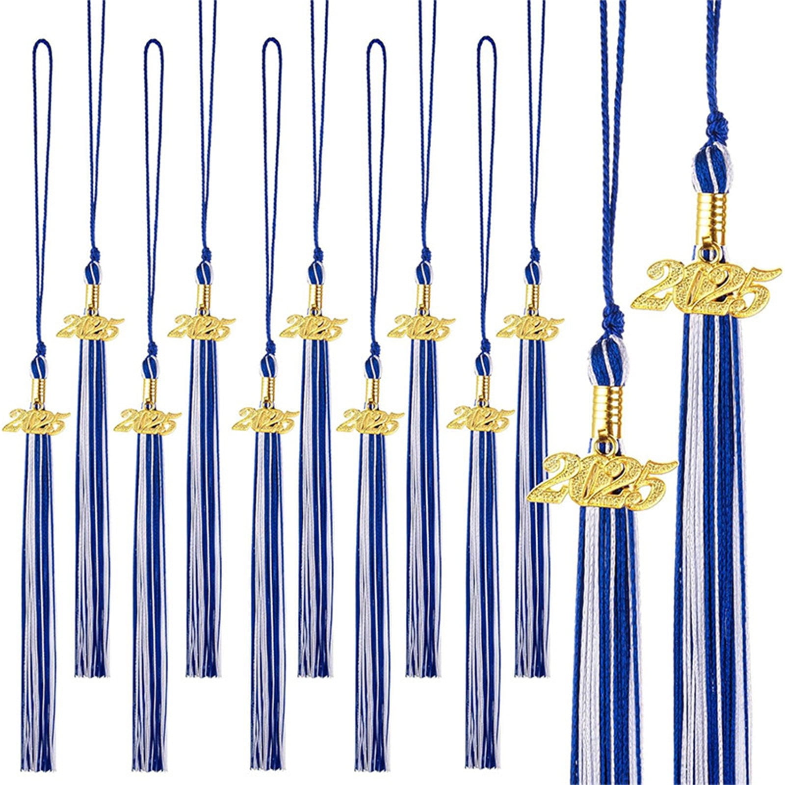 wowotier 10 Pieces 2025 Graduation Cap Tassel With Year Gold Charms ...