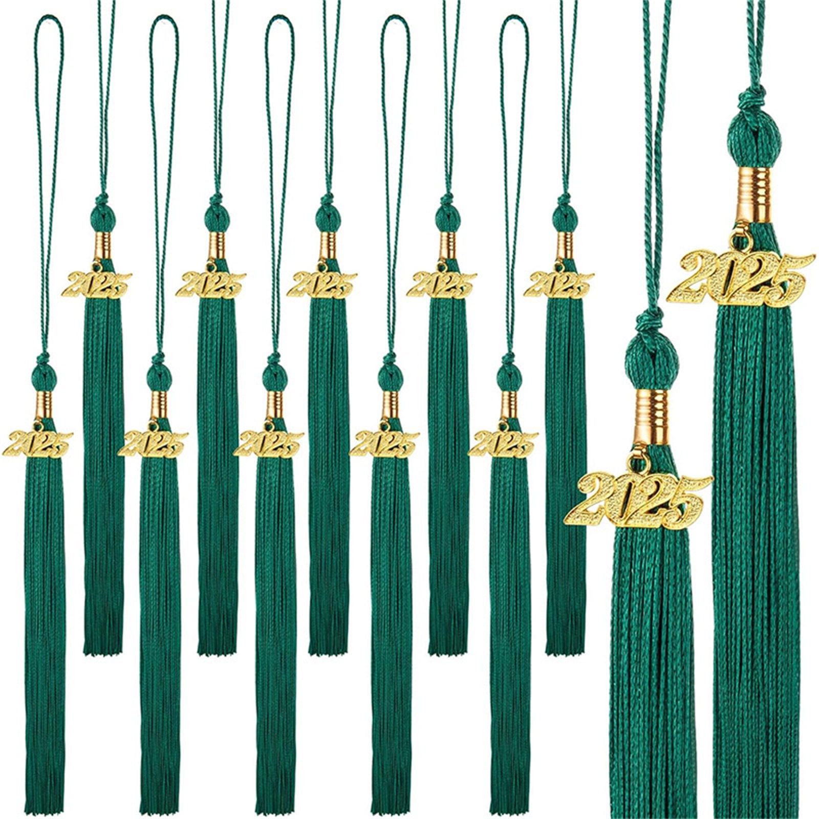 wowotier 10 Pieces 2025 Graduation Cap Tassel With Year Gold Charms ...