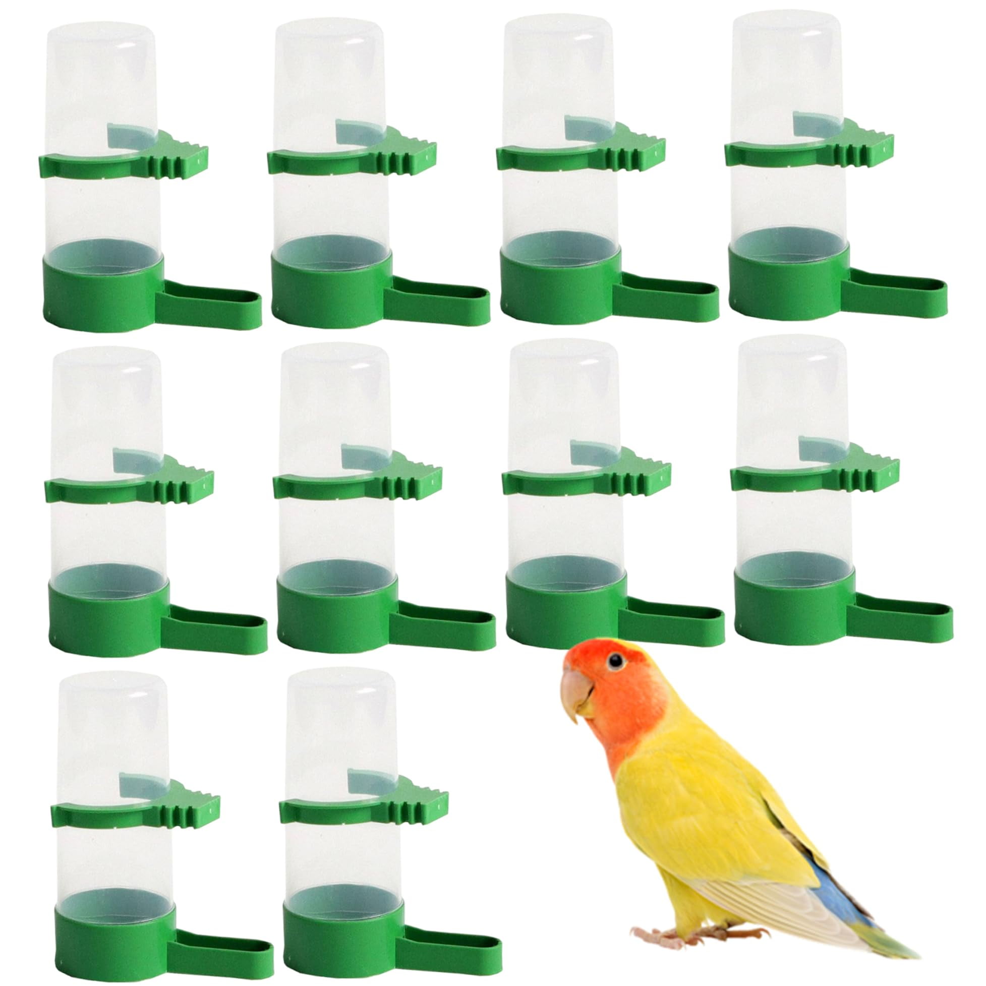 wuhaoyueshangmao Pigeon Waterer 10Pcs Automatic Bird Water Feeder ...