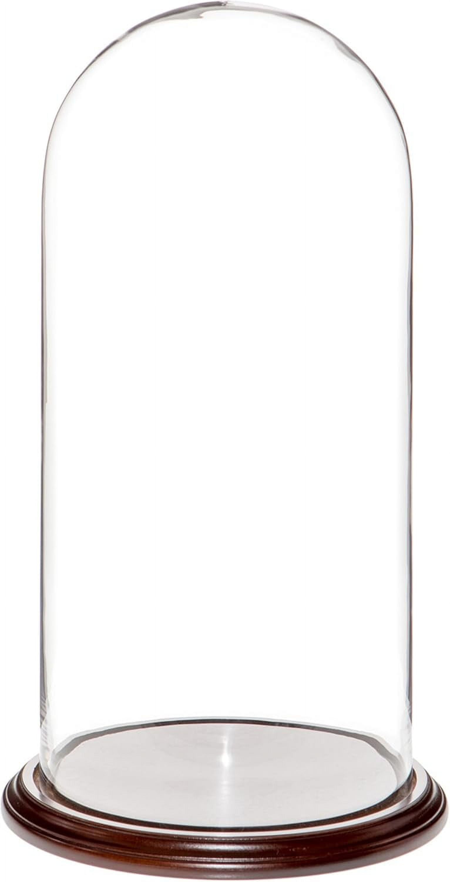 x 20" Glass Display Dome Cloche (Dark Mahogany Veneer Base) - Walmart.com