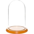 x 8" Glass Display Dome Cloche (Oak Veneer Base) - Walmart.com
