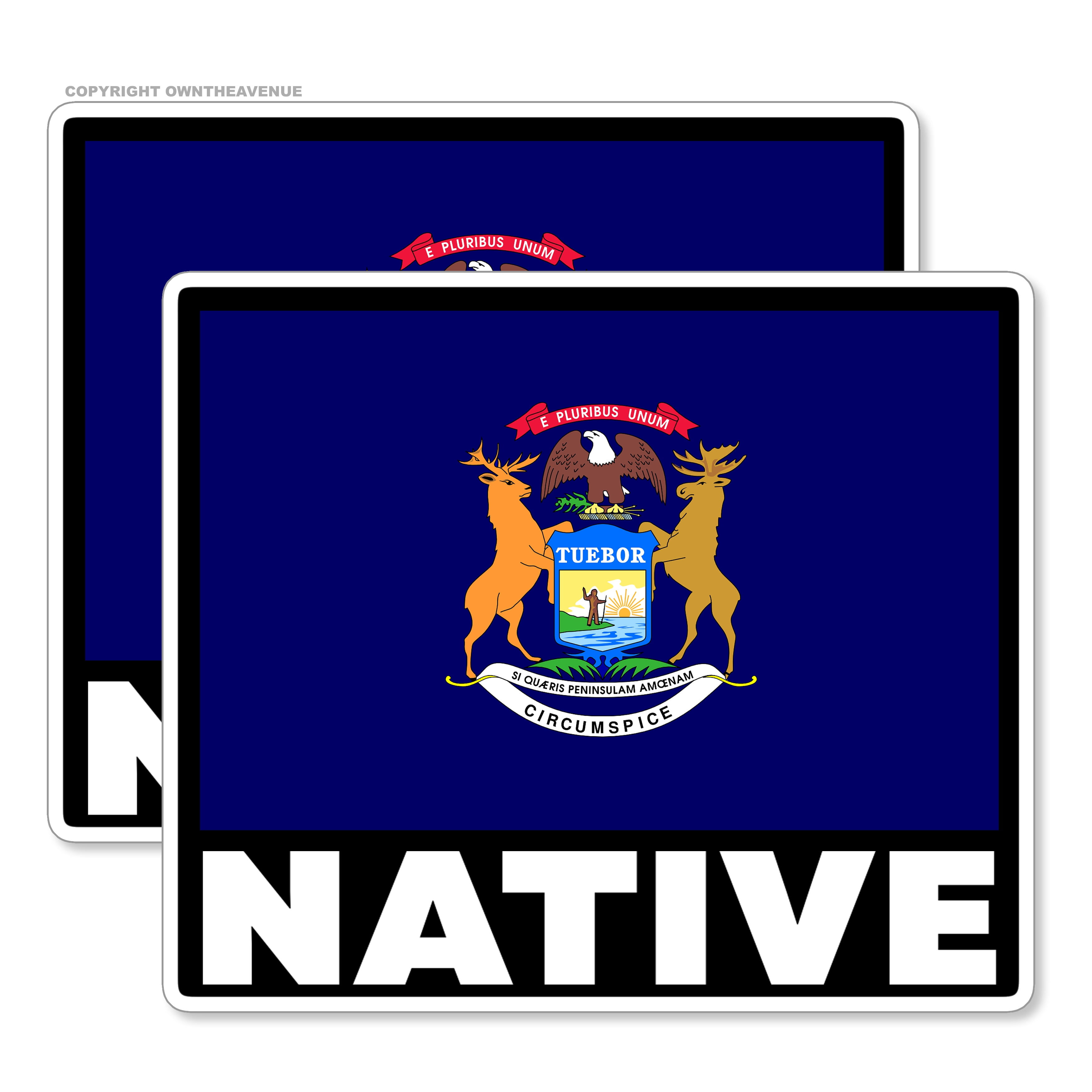 x2 Michigan Flag Vinyl Sticker Pack Lot Native - 3.5" Inches Each ...