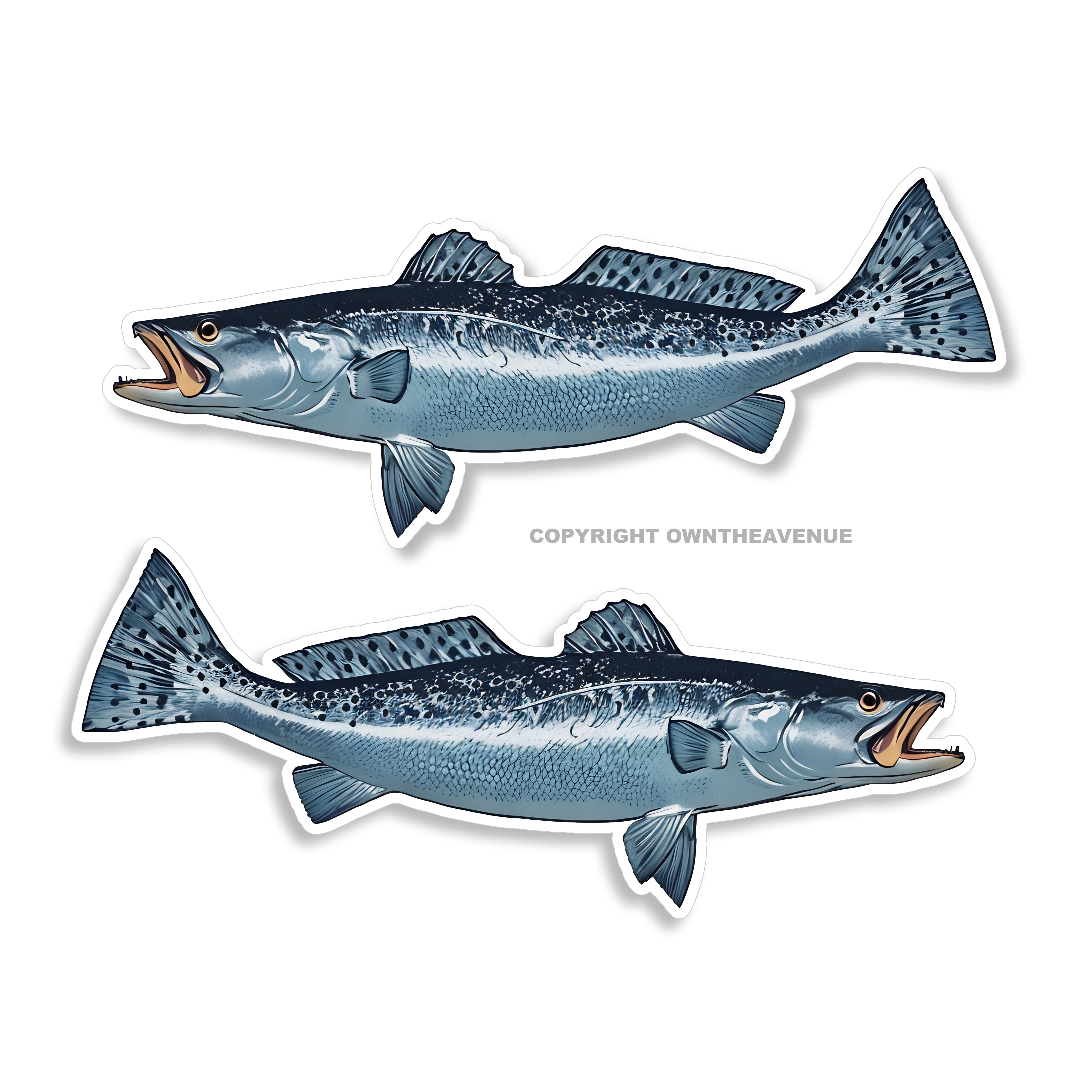 x2 Spotted Saltwater Trout Fish Fishing RV Boat Camper Trailer Car ...