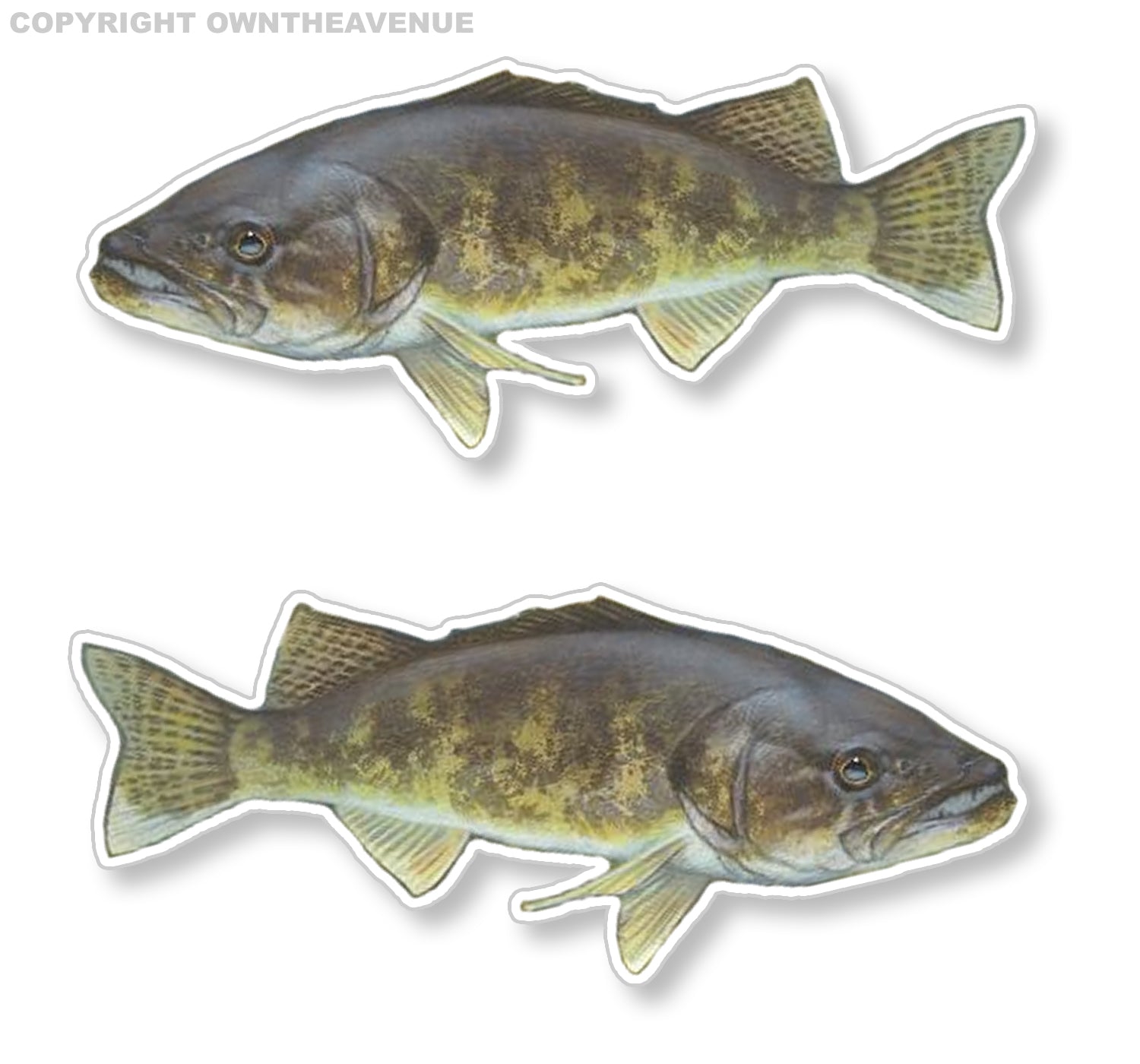 x2 Walleye Fishing RV Boat Car Truck Camper Trailer Vinyl Sticker Decal ...