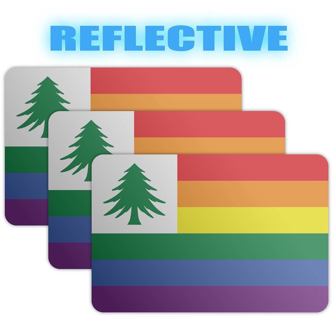 (x3) 3M Reflective NE Pride Flag Flag Stickers | Versatile & High ...