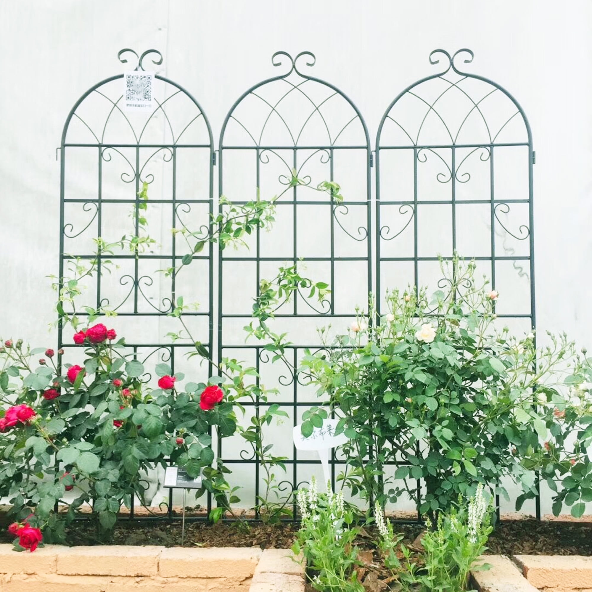 xCloud 2-Pack Black Metal Garden Trellis - 71"x19.7", Rustproof ...