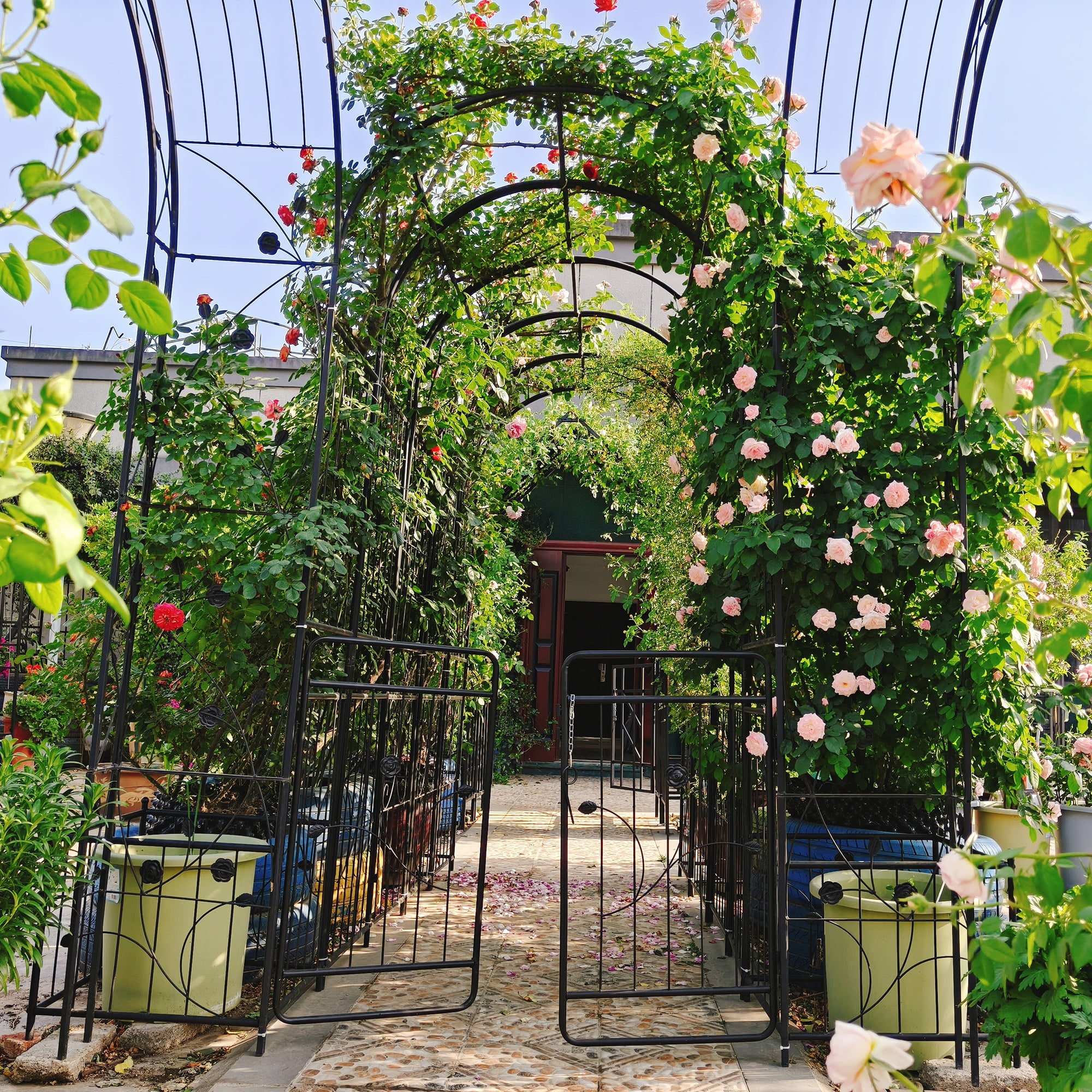 xCloud Metal Garden Arch with Gate 79.5"x86.6" - Double Gate Design ...