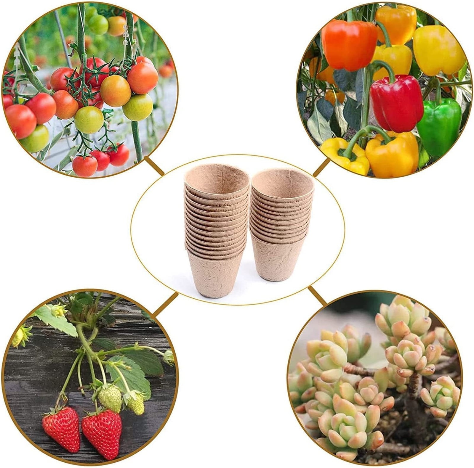 xqxayjr 2Pcs Gardening Paper Tray Cups, Biodegradable Starter Pots with ...
