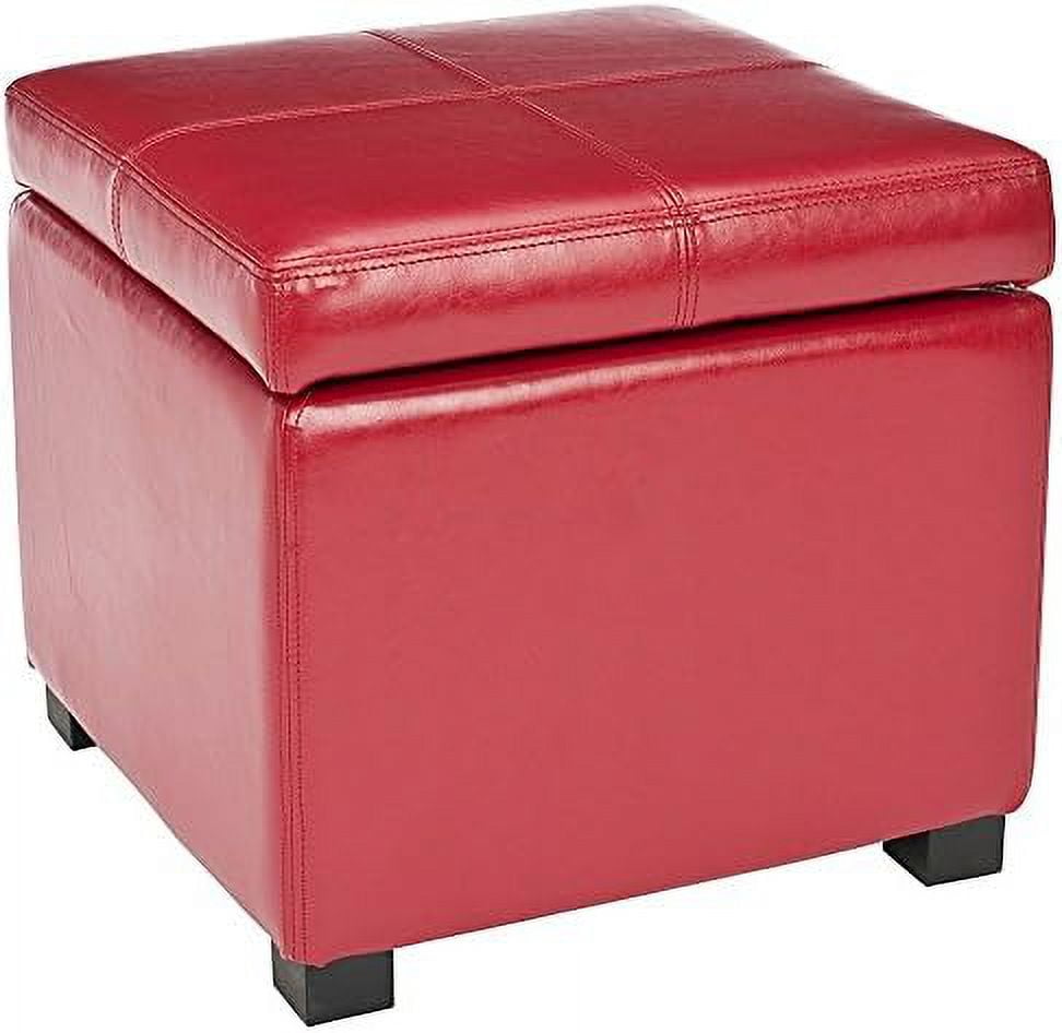Transitional Red Leather 18'' Square Storage Ottoman • Spoken