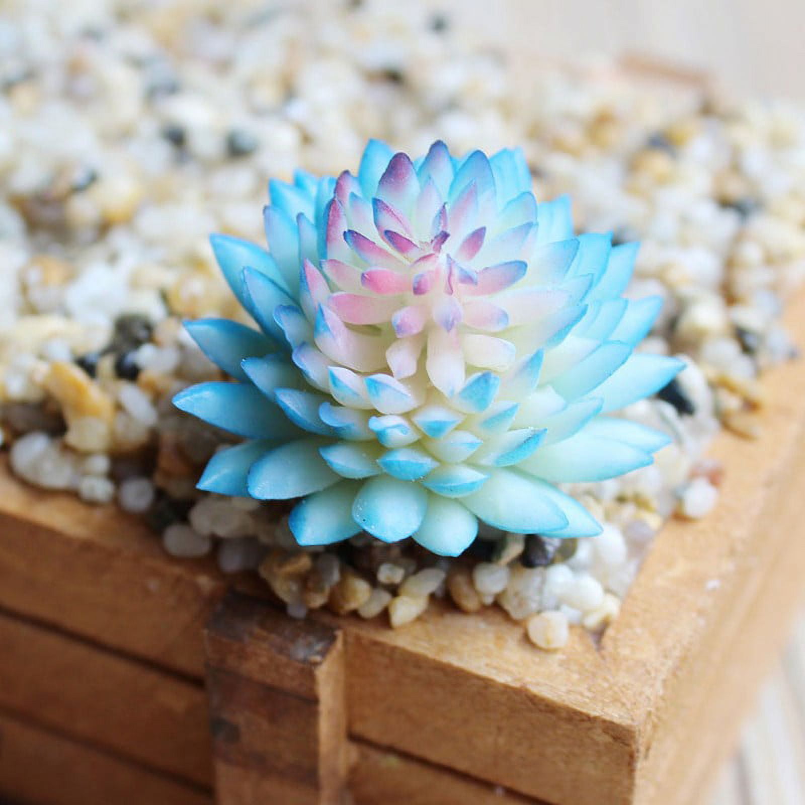 yaaqii Artifical Plastic Succulent Plant Echeveria Flower Home Office ...