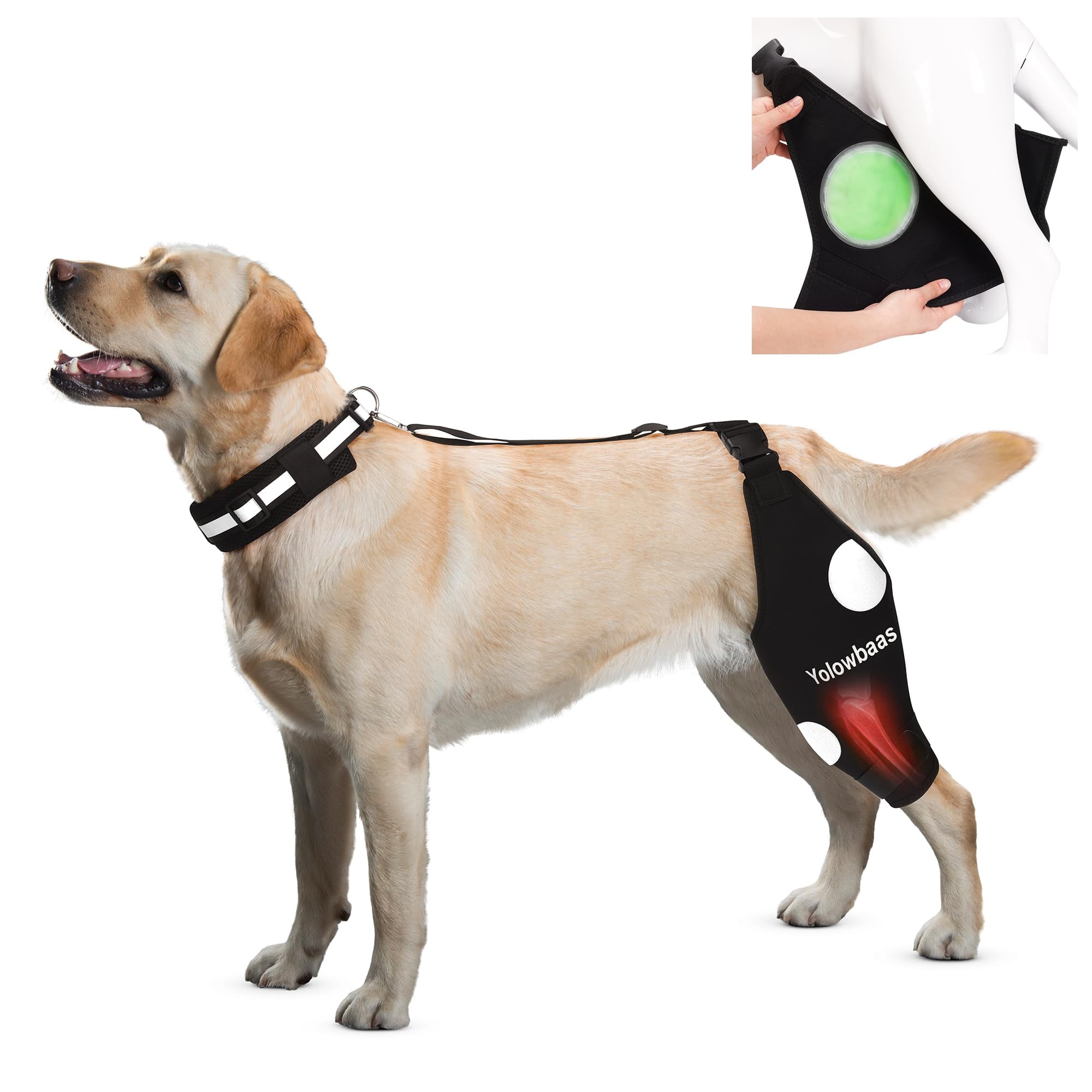 yolowbaas Dog Knee Brace for Torn ACL Hind Support with Hot/Cold ...