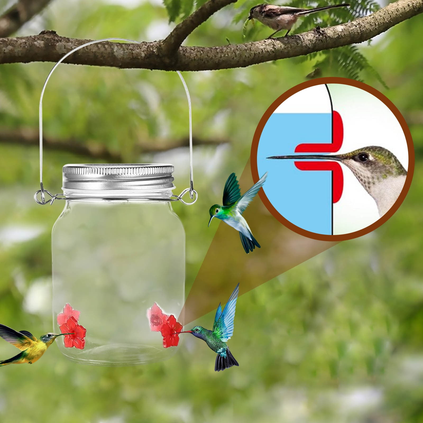 RoamHome Hummingbird Feeder with 8 Flower Ports & -Degree Perch: Easy ...
