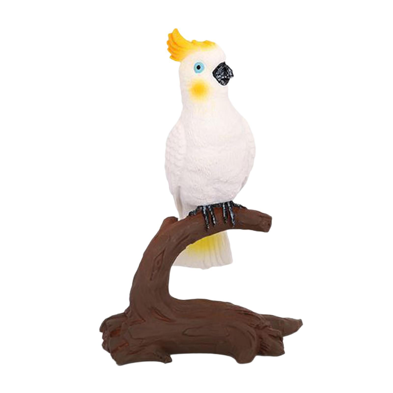 yotijay Bird Model Figure Educational Toy Desk Lifelike Office ...