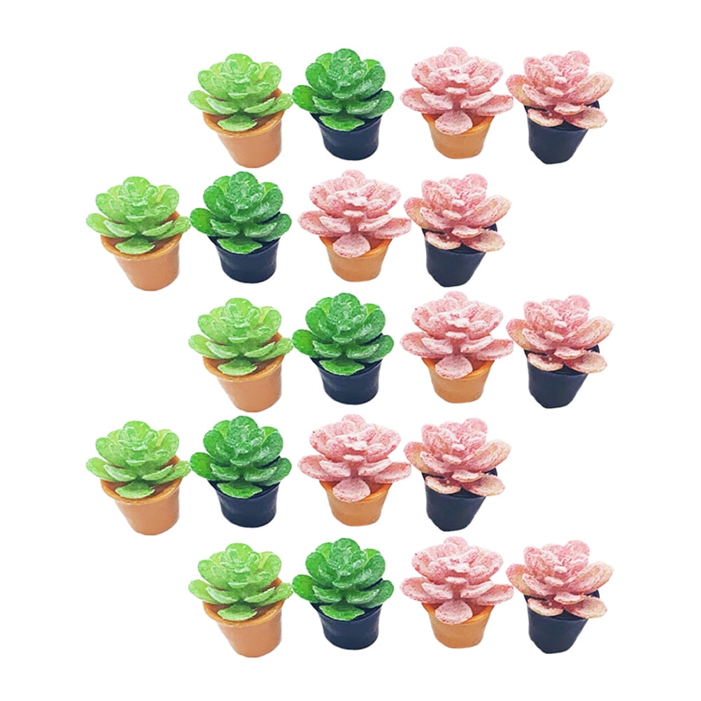yuehuaidai 20Pcs Succulent Plants Craft Miniature Potted Plant Bonsai Ornament (Random Style ...