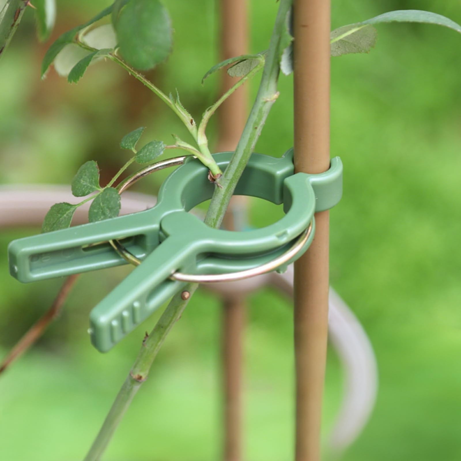 yuequn Clearance Plant Clips for Climbing Plants,Clips Reusable Clips ...