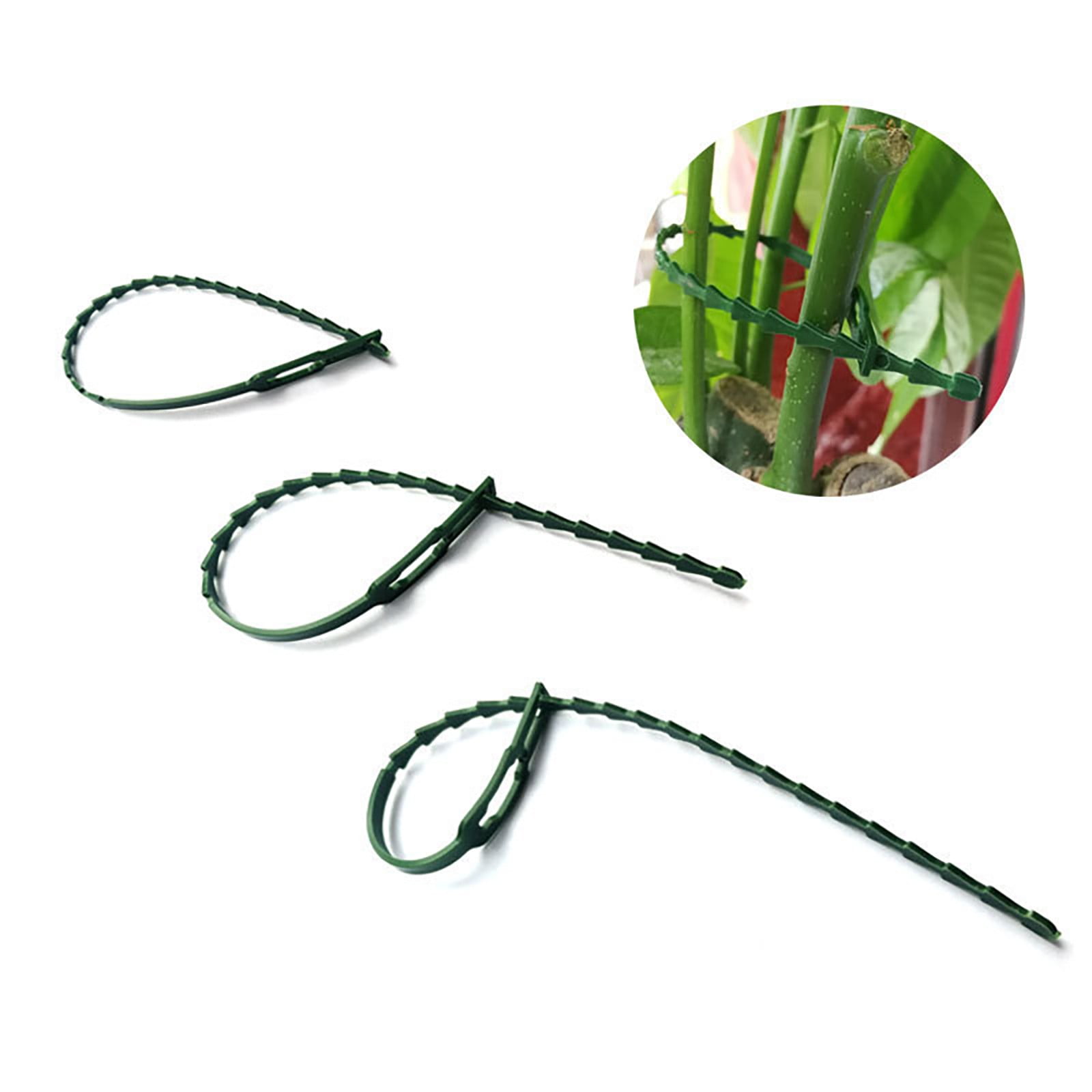 yuequn Clearance Plant Clips for Climbing Plants,Purpose Garden Tying ...
