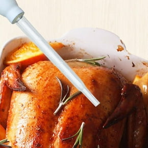 Turkey Baster Syringe