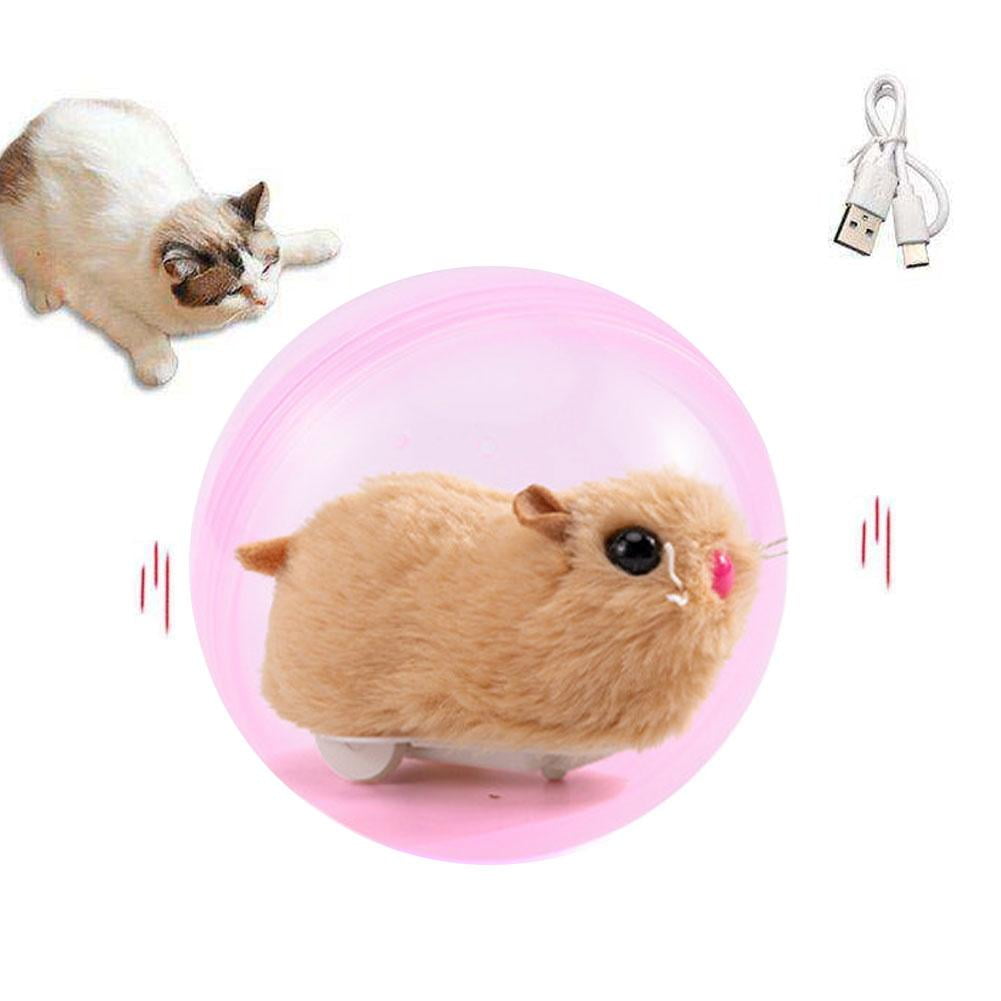 zengyuanjie Electric Cat Ball Electric Hamster Ball Pet Cat Toy ...