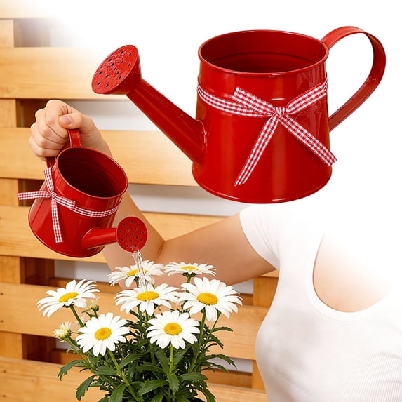zhonghuaying 1 Pack Decorative Metal Watering Can, Small Garden ...