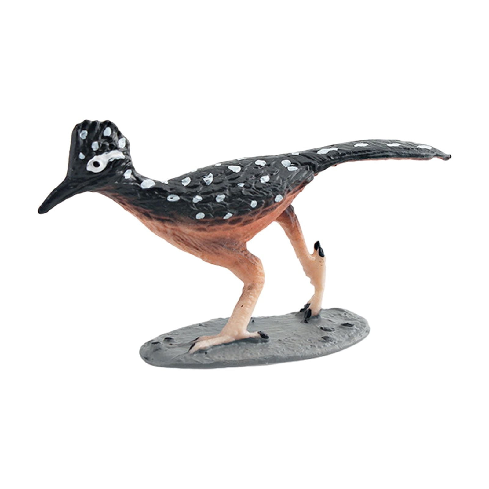 ziertyon Realistic Bird Figurine Roadrunner Mannikin Hummingbird Robin ...