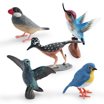 Realistic Bird Figure Animal Figures Home Decor for Children Bird Model ...