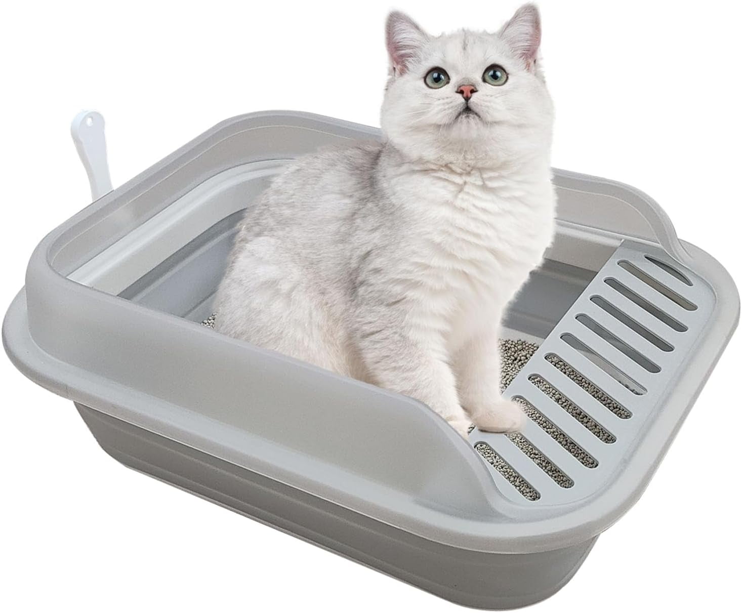 zxcvbnmk Collapsible Kitten Litter Box, Open High Sided Cat Potty Pan ...